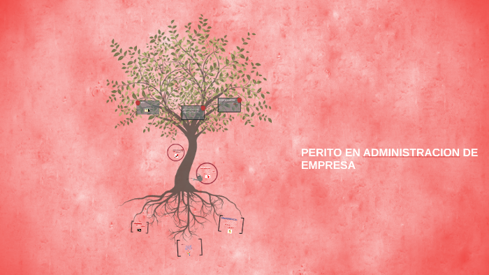PERITO EN ADMINISTRACION DE EMPRESAS by Mariela Lancerio on Prezi