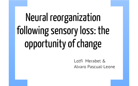 Neural reorganization following sensory loss: the opportunity of change ...