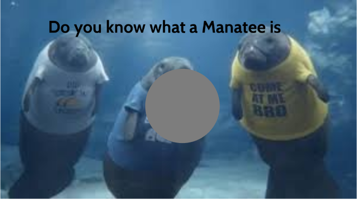 Do you know what a Manity is by Presley Dignard on Prezi