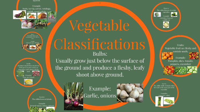Vegetable Classifications by brita johnson on Prezi