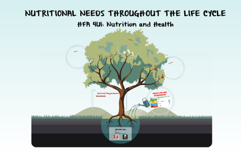NUTRITIONAL NEEDS THROUGHOUT THE LIFE CYCLE by Fahim Shahriyar on Prezi