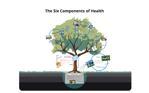 The Six Components of Health by Julio Marcano on Prezi