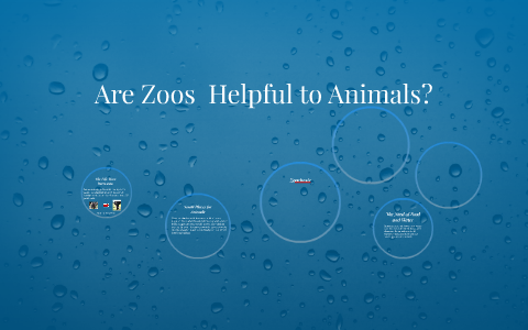 Are Zoos Helpful to Animals? by Jenkins Elementary on Prezi