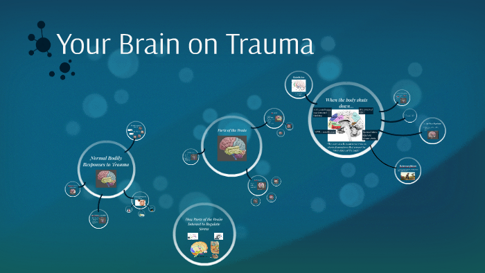 Your Brain on Trauma by Amy Morgan on Prezi