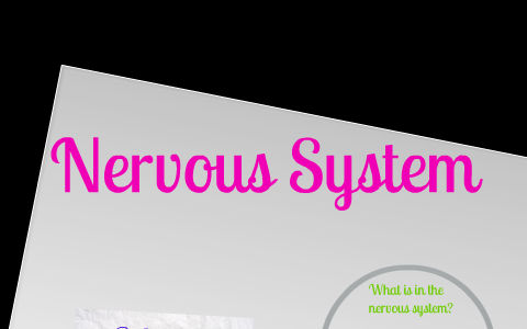 Nervous System #2 by Amanda Straka on Prezi