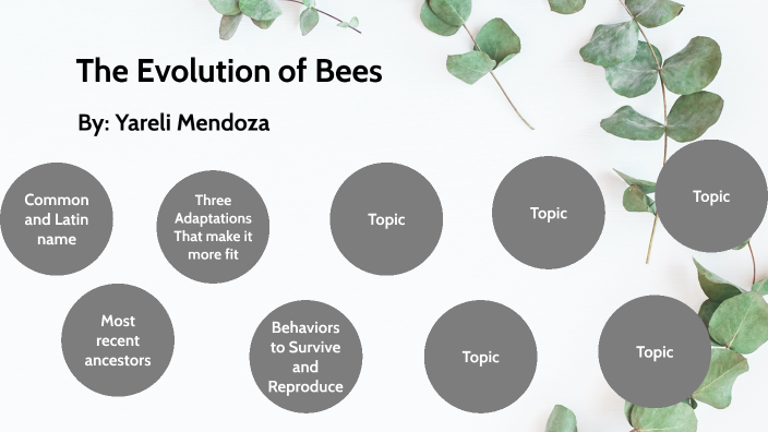 The Evolution of Bees by Yareli Mendoza on Prezi