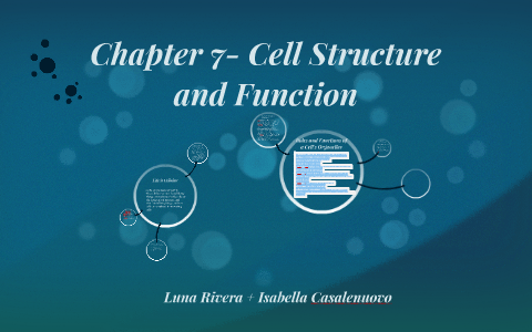 Chapter 7- Cell Structure and Function by Isabella Casa on Prezi