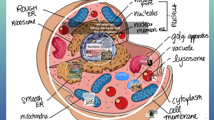 Cell Analogy: Percy Jackson and the Olympians; SU and CP by Sarah Uy on ...