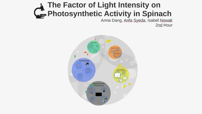 Photosynthesis Lab: Light Intensity by Anna Dang on Prezi
