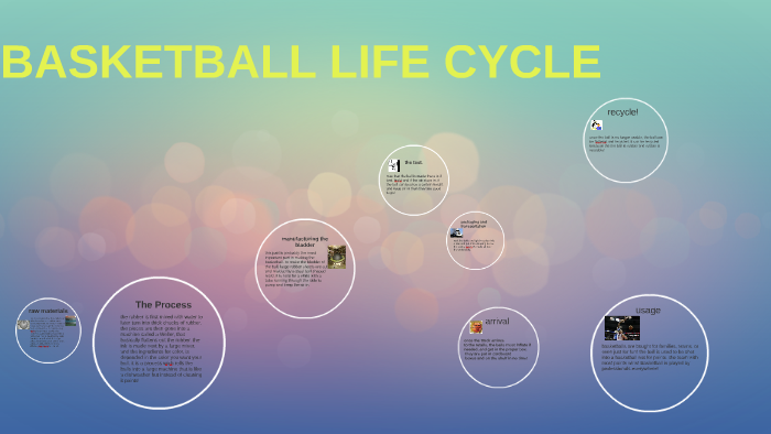 Basketball lifecycle by lindsey Jones on Prezi