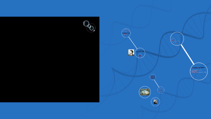 Le démon X Ray by Célia Villez on Prezi