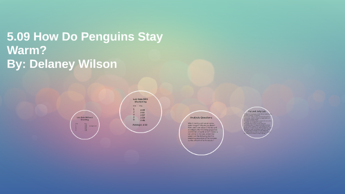 5.09 How Do Penguins Stay Warm? by delaney wilson on Prezi