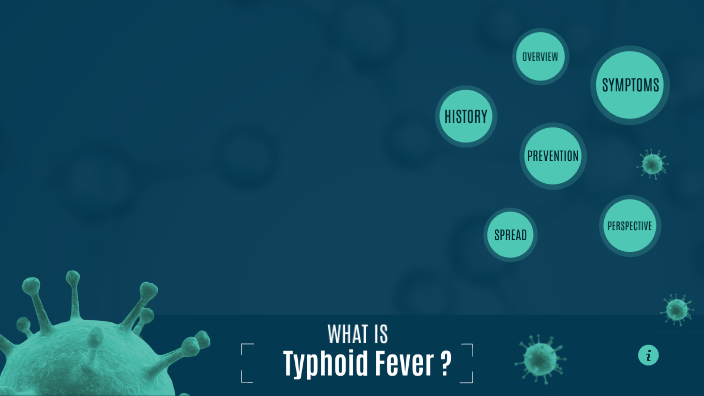 Typhoid fever project by Audrey Shea on Prezi