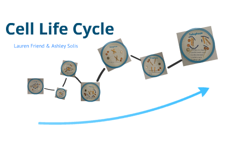 Pearson Biology P.2 Cell Life Cycle by Lauren Friend on Prezi