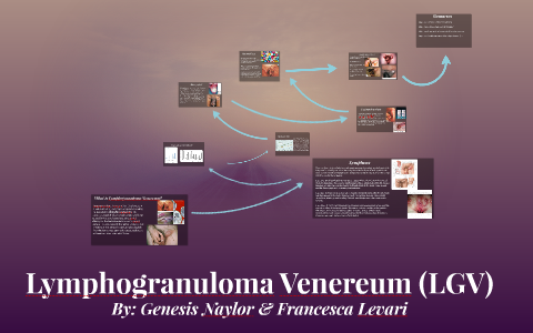 Lymphogranuloma Venereum (LGV) by Genesis Naylor on Prezi