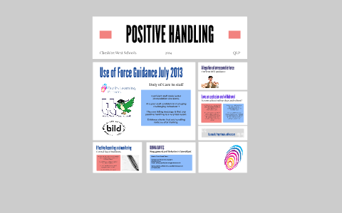 POSITIVE HANDLING by Donna Davies