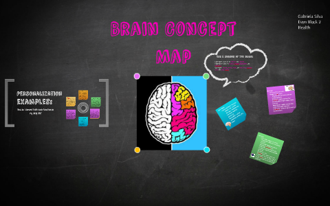 BRain Concept Map by Gabby Silva on Prezi