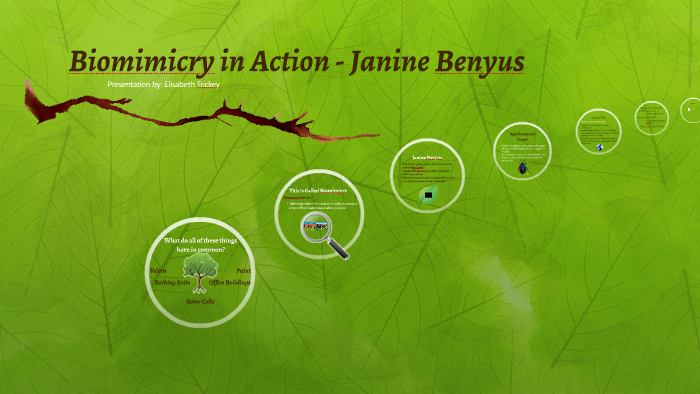 Biomimicry in Action - Janine Benyus by Elisabeth Trickey on Prezi