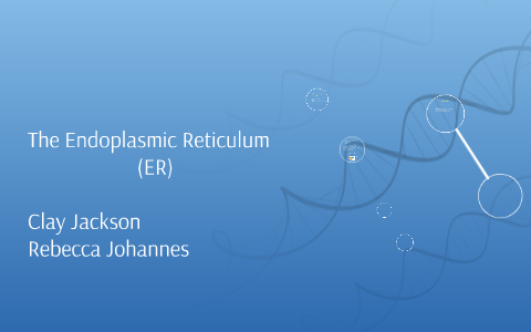 The Endoplasmic Reticulum by Clay Jackson on Prezi