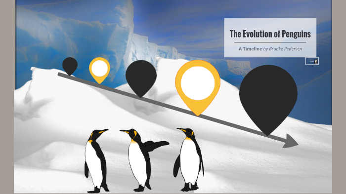 Evolution of Penguins by Brooke Pedersen on Prezi