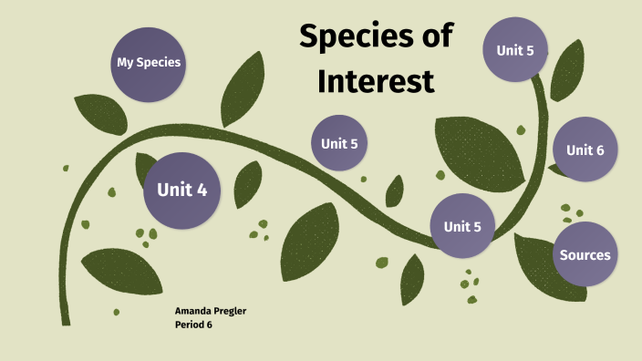Amanda Pregler- Spring Species of Interest by Amanda Pregler on Prezi