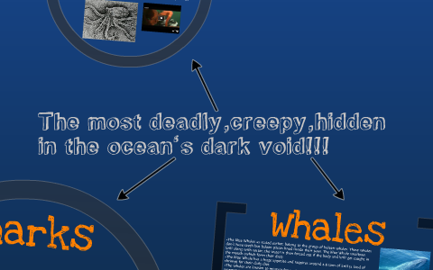 Deadly,creepy,deep in the ocean's dark void animals by mohamed osama on ...