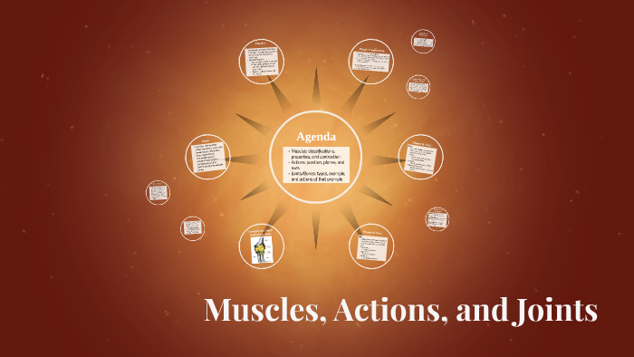 Muscles, Actions and Joints by Sam Gorrell on Prezi