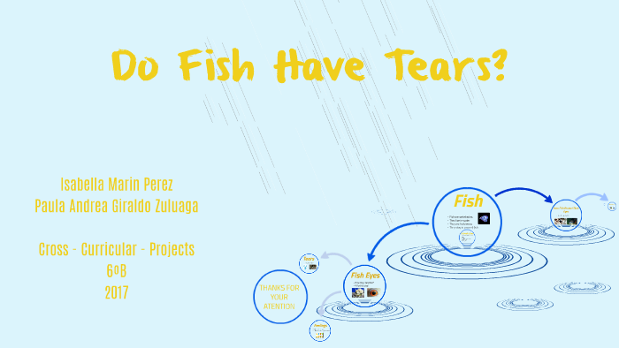 Do Fish Have Tears? by isabella marin