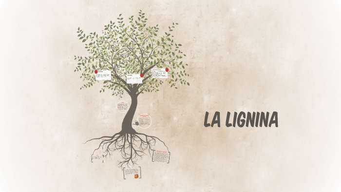 LA LIGNINA by KATHERINE LOPEZ on Prezi