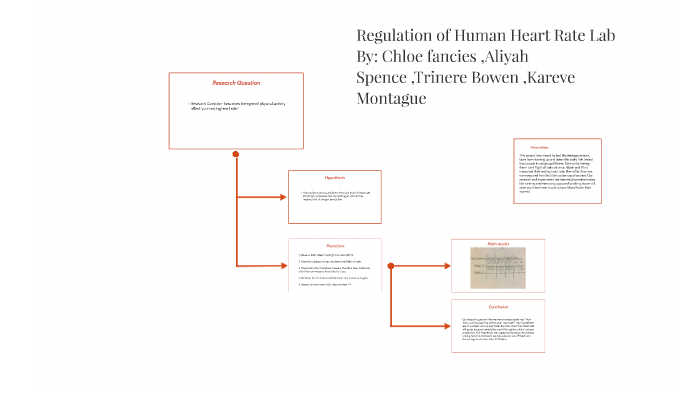 regulation of human heart rate lab by on Prezi