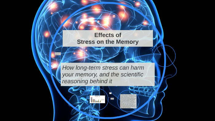 Effects of Stress on the Memory by Sarah Burke on Prezi