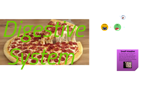 Pizza: Digestive System by Haleigh McClure on Prezi