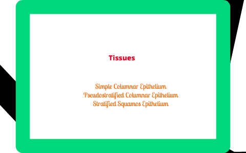 Tissues by haley seals on Prezi