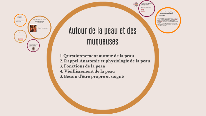 La peau et les muqueuses by Ub Al on Prezi