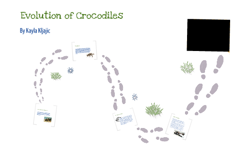Evolution of Crocodiles by kayla kljajic on Prezi
