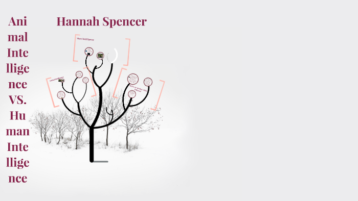 Animal Intelligence VS. Human Intelligence by Hannah Chi on Prezi