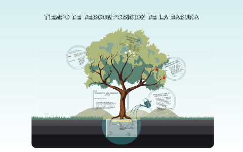 TIEMPO DE DESCOMPOSICION DE LA BASURA by nataly florian on Prezi