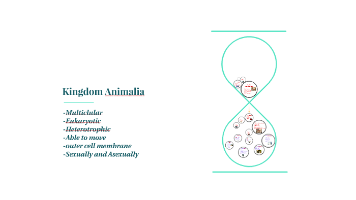 PhylumPorifera by Nathan Neilson