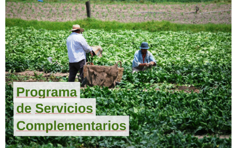 Programa de servicios complementarios by Juan Lpz on Prezi