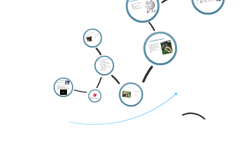 Descriptive Writing (Describe an Animal) by Ian Gooda on Prezi