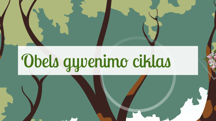Obels gyvenimo ciklas by Sonata Bruziene on Prezi