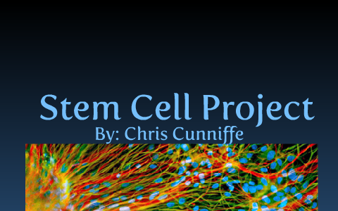 Stem Cell Project by chris cunniffe on Prezi