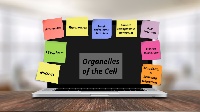 Organelles of the Cell by Kathryn Farr on Prezi