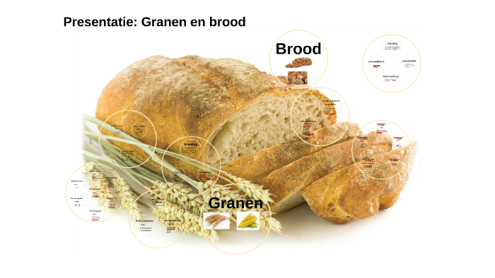 Granen en Brood by jesse clerckx on Prezi