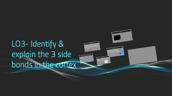 LO3- Identify & explain the 3 side bonds in the cortex by Nicole ...