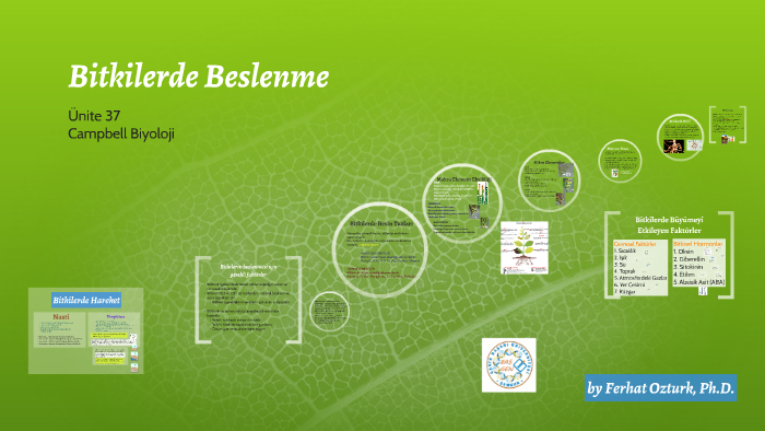 Bitkilerde Beslenme by Ferhat Ozturk on Prezi