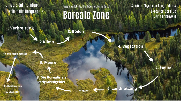 Boreale Zone by Marie Charlotte Busch on Prezi