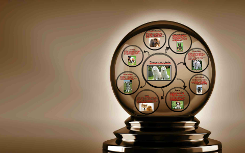 Znane rasy psów by Stanisław Kwiat