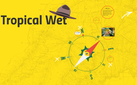 tropical wet climate: brazil by on Prezi
