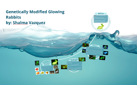 Genetically Modified Glowing Rabbits by Shalma Vazquez on Prezi